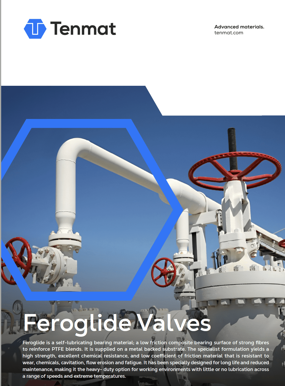 Feroglide Valves - Tenmat